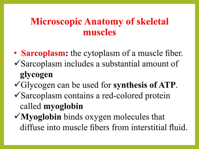 skeletal musclemicroemulsions microemulsions microemulsions ...