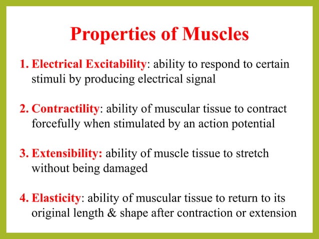 skeletal musclemicroemulsions microemulsions microemulsions ...