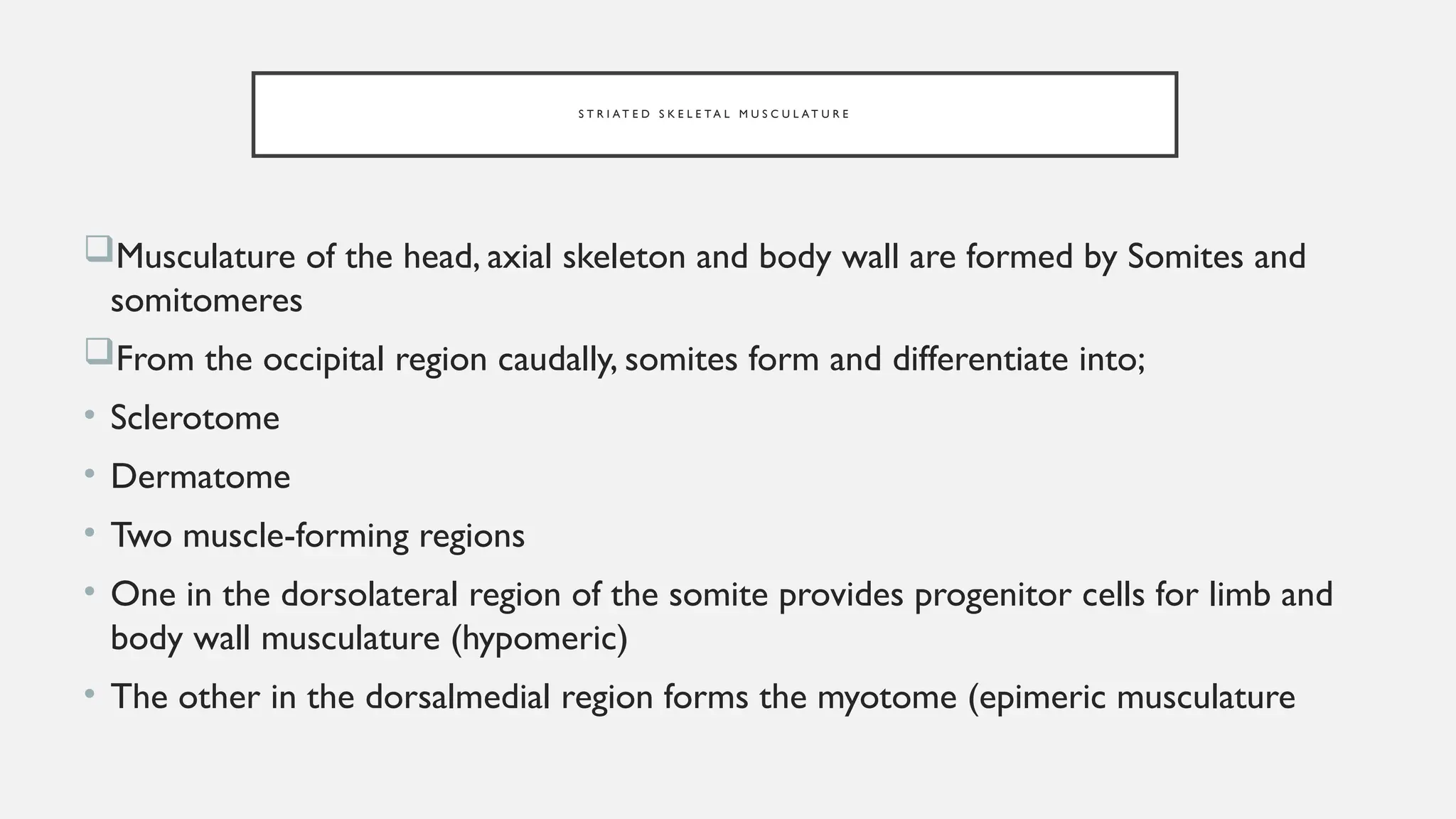 skeletal muscle development of fetus embryonic growth | PPTX