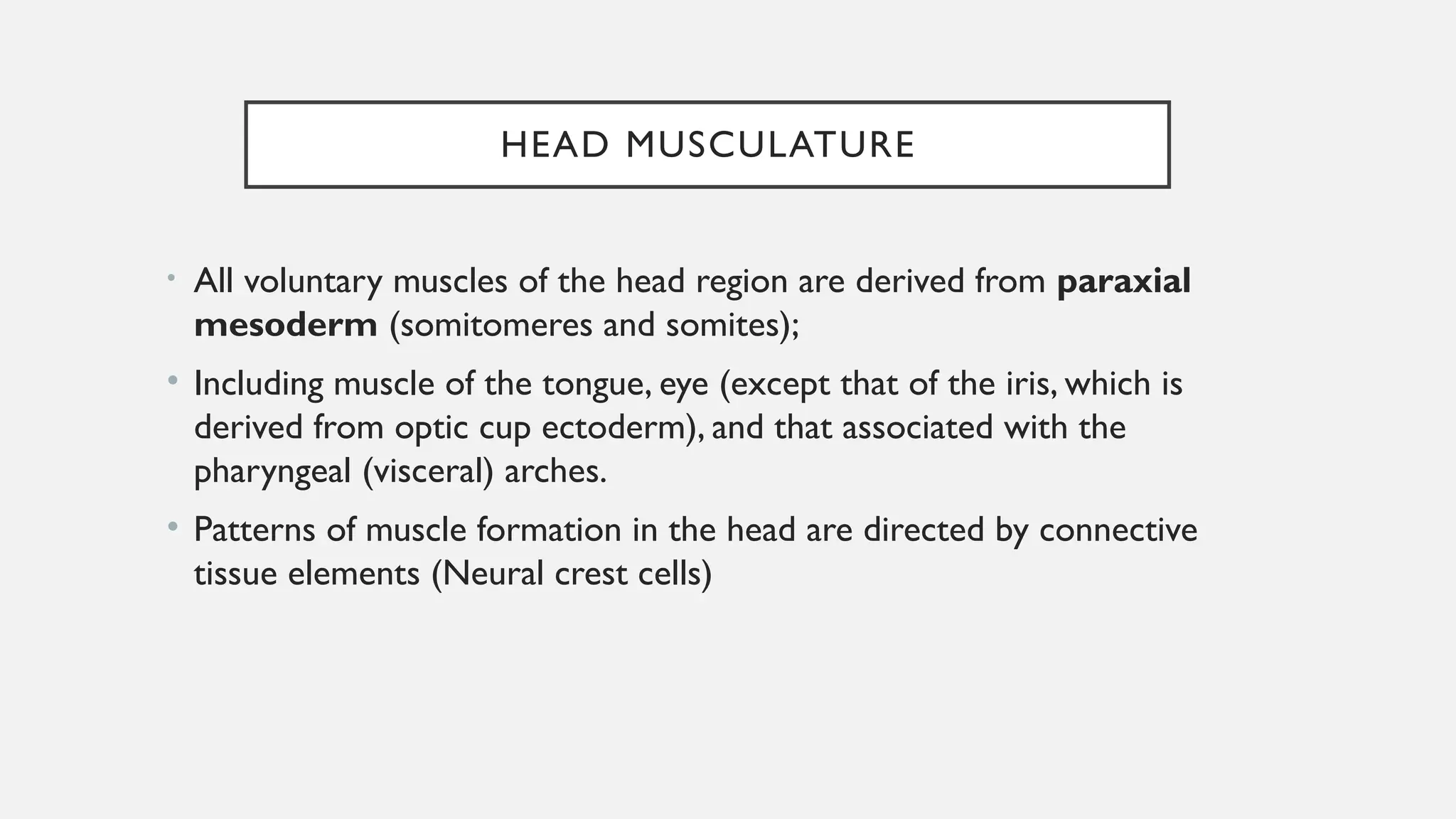 skeletal muscle development of fetus embryonic growth | PPTX