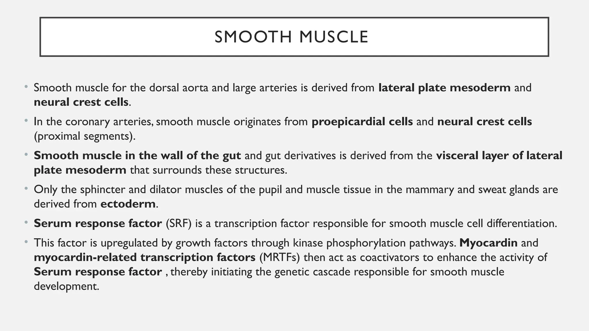 skeletal muscle development of fetus embryonic growth | PPTX