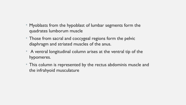 skeletal muscle development of fetus embryonic growth | PPTX