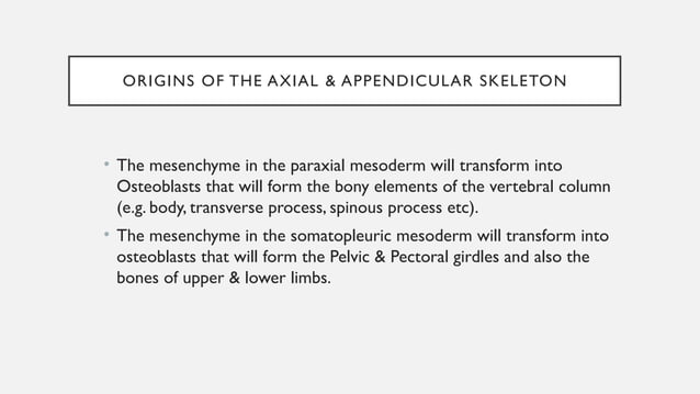 skeletal muscle development of fetus embryonic growth | PPTX