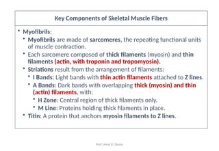 Skeletal Muscle First Year B Pharm Semester 1.pptx
