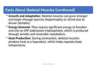 Skeletal Muscle First Year B Pharm Semester 1.pptx