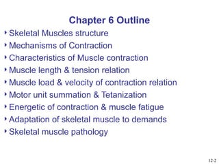 Skeletal Muscle Activity Chapter 6