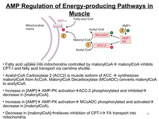 Skeletal_Muscle_Biochemistry_Sep_26_2018.ppt