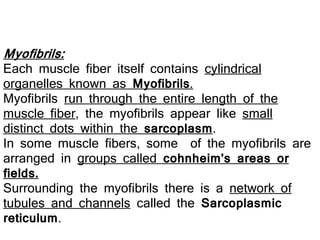 Skeletal muscle contraction | PPTX