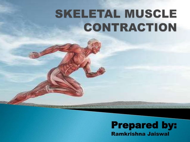 Skeletal muscle contraction | PPT