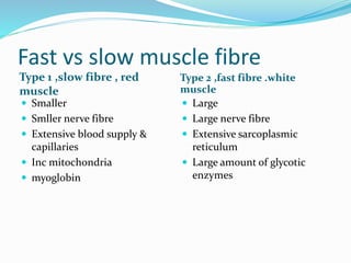 Skeletal muscle contraction by dr.mumtaz ali | PPTX