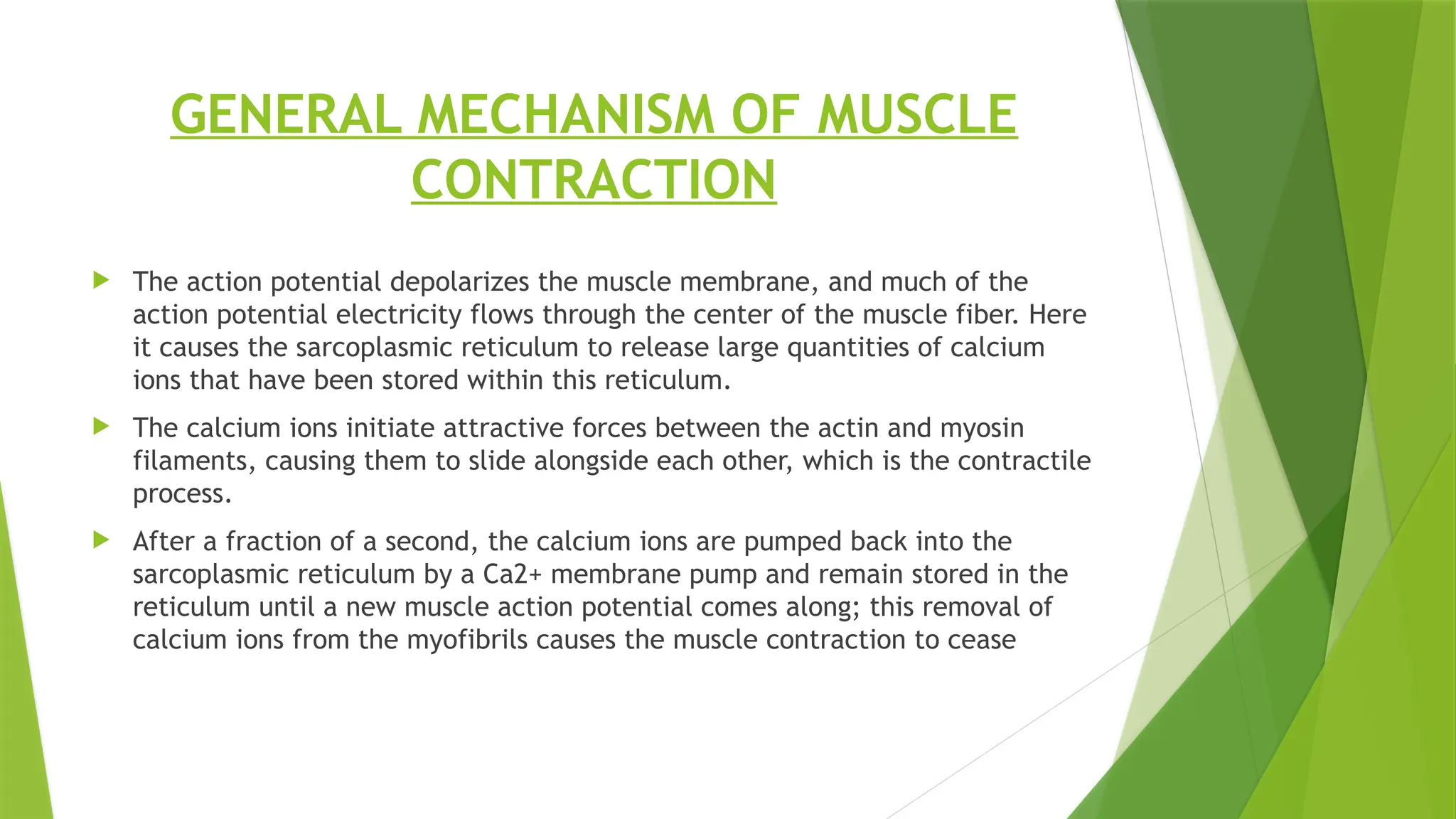 SKELETAL MUSCLE CONTRACTION GUYTON ppt skeletal muscle | PPTX