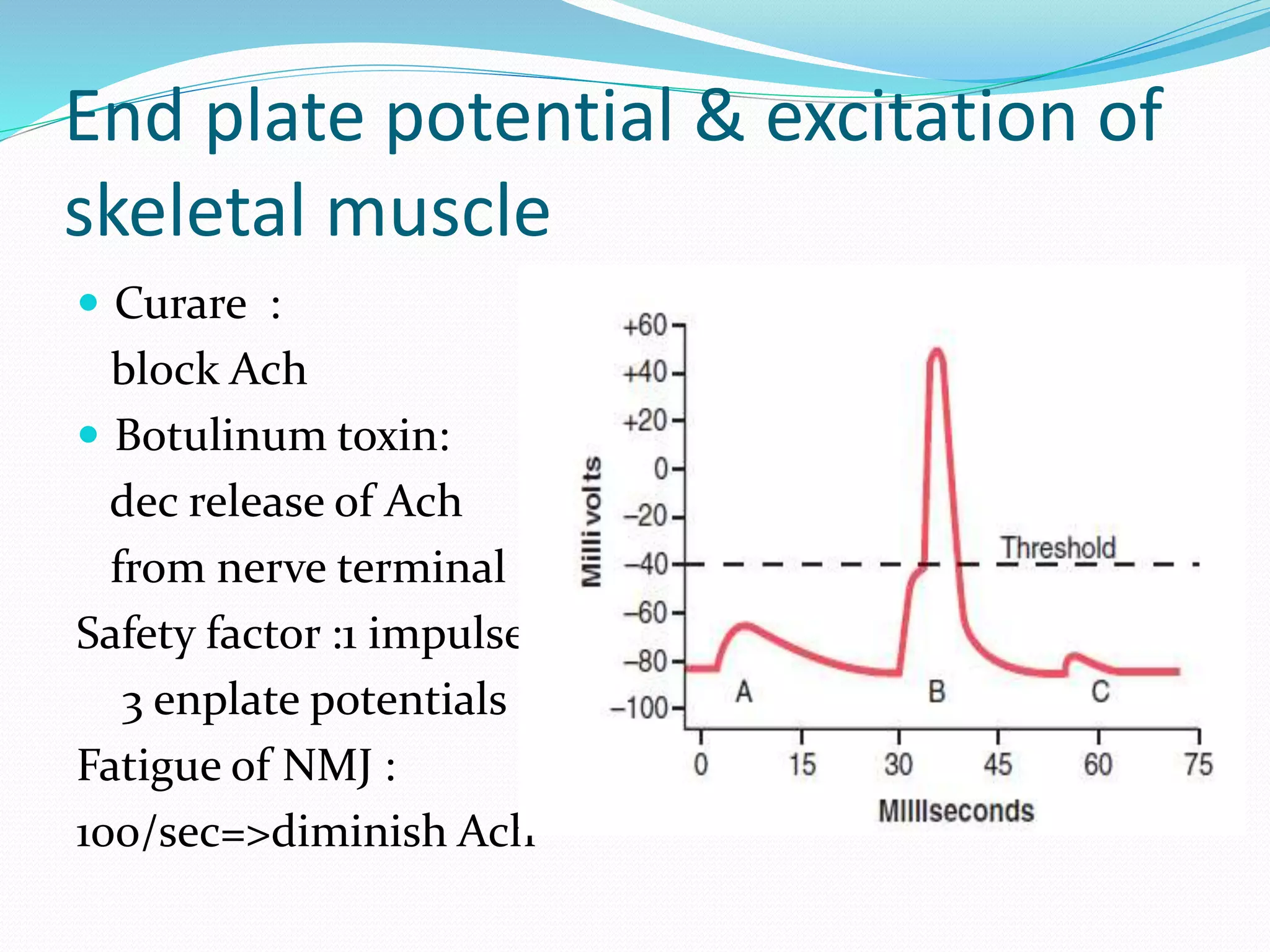 Skeletal muscle excitation by dr mumtaz ali | PPTX