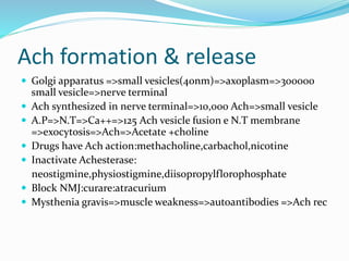 Skeletal muscle excitation by dr mumtaz ali | PPTX