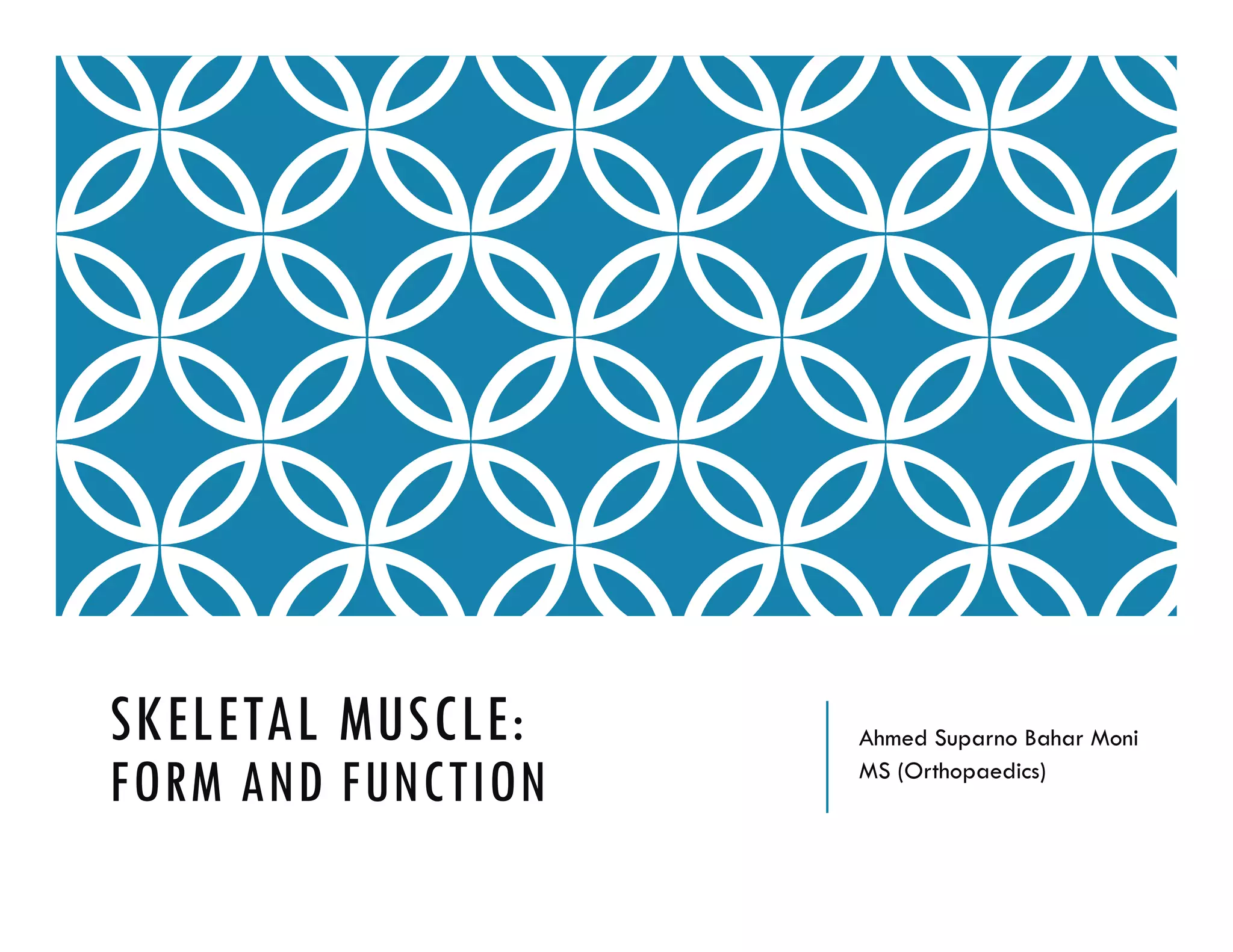 Skeletal muscle: Form & Function | PDF