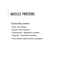 Skeletal muscle: Form & Function | PDF