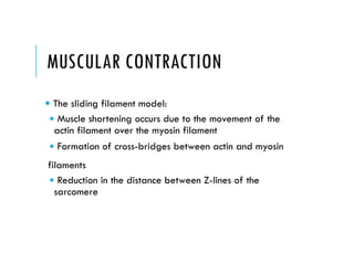 Skeletal muscle: Form & Function | PDF