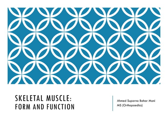 Skeletal muscle: Form & Function | PPT