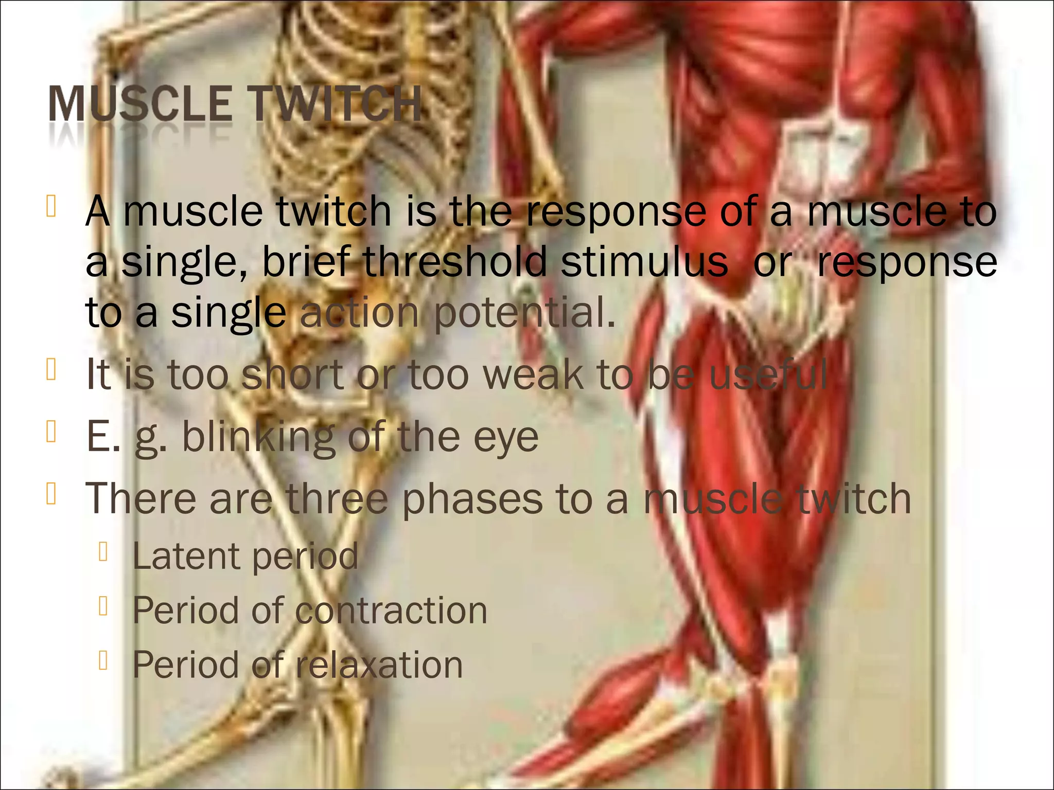 Skeletal muscle mechanics | PPT