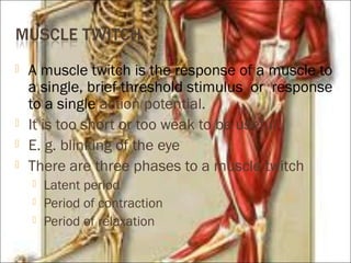 Skeletal muscle mechanics | PPT