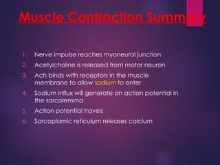 Skeletal muscle Part 2.pptx simple explanation | PPTX