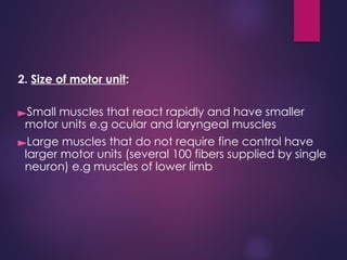 Skeletal muscle Part 2.pptx simple explanation | PPTX