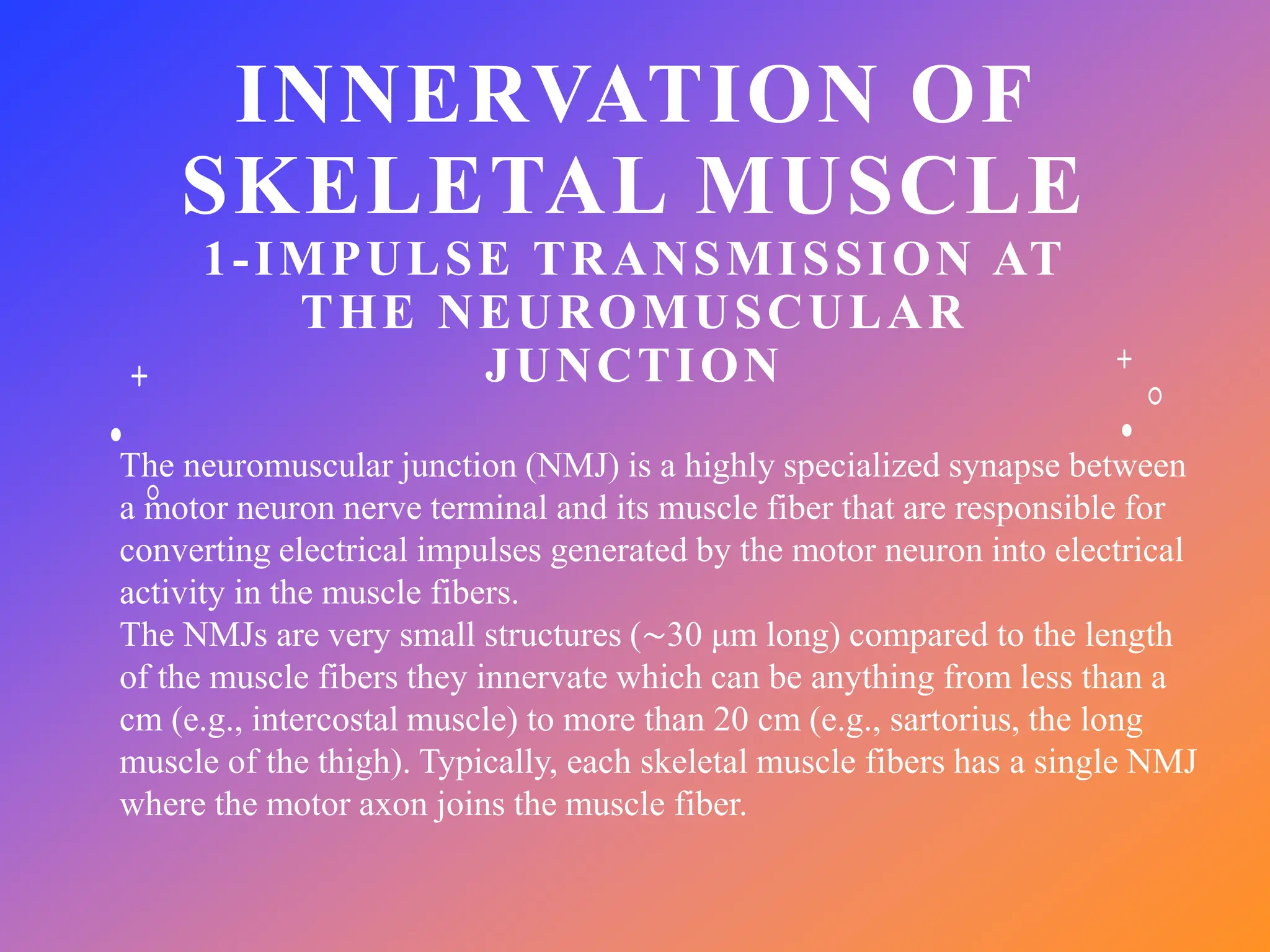 Skeletal Muscle histology - maha hammady.pptx