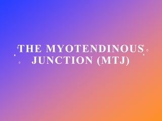 Skeletal Muscle histology - maha hammady.pptx