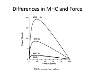 Skeletal muscle physiology and applications to training | PPT