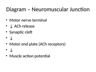 Skeletal_Muscle_Physiology_Expanded_With_Diagrams (1).pptx