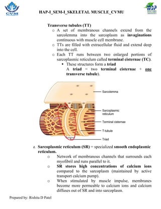 Skeletal Muscle Physiology of Muscle Contraction _RDP | PDF