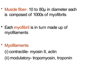 Skeletal muscle property.pptx properties of smooth muscle | PPTX