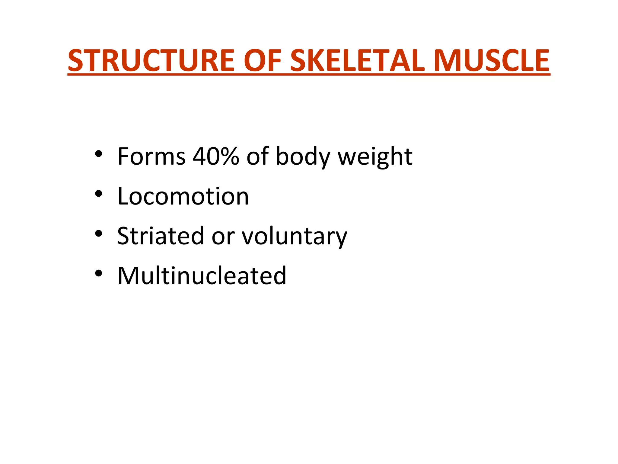 Skeletal muscle Physiology | PPT | Biological Sciences | Science