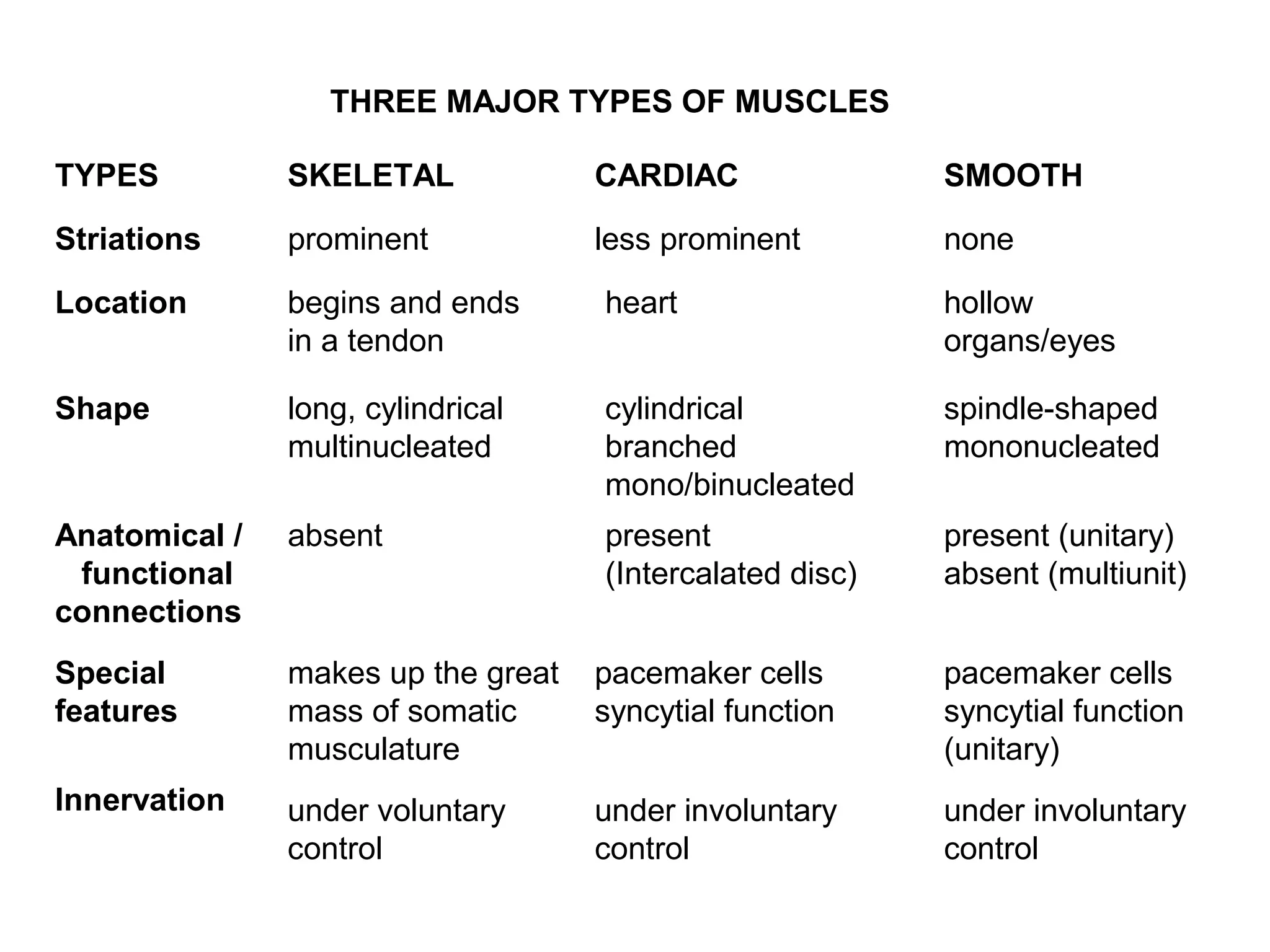 Skeletal muscle Physiology | PPT