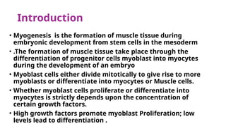 skeletal muscle regeneration for msc.pptx