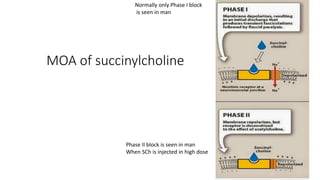 Skeletal muscle relaxant | PDF | Chemistry | Science