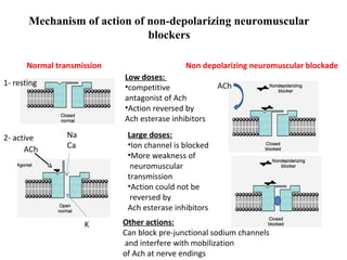 Skeletal muscle relaxants | PPT
