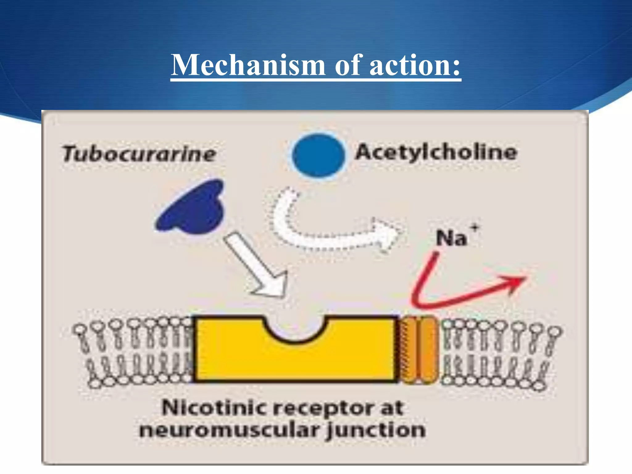 Pharmacology: Skeletal Muscle Relaxants | PPTX