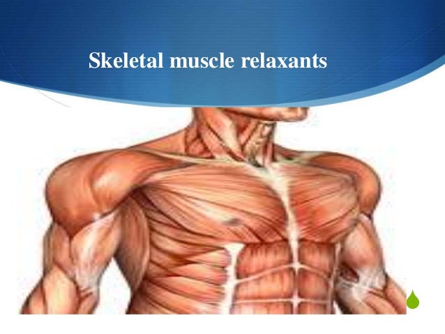 Cartoon Muscle Relaxants