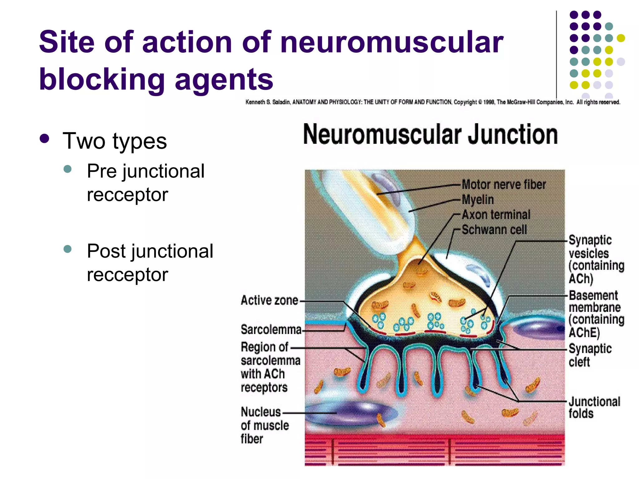 Skeletal muscle relaxants, Neuromuscular blocking agents, Neuromuscular ...