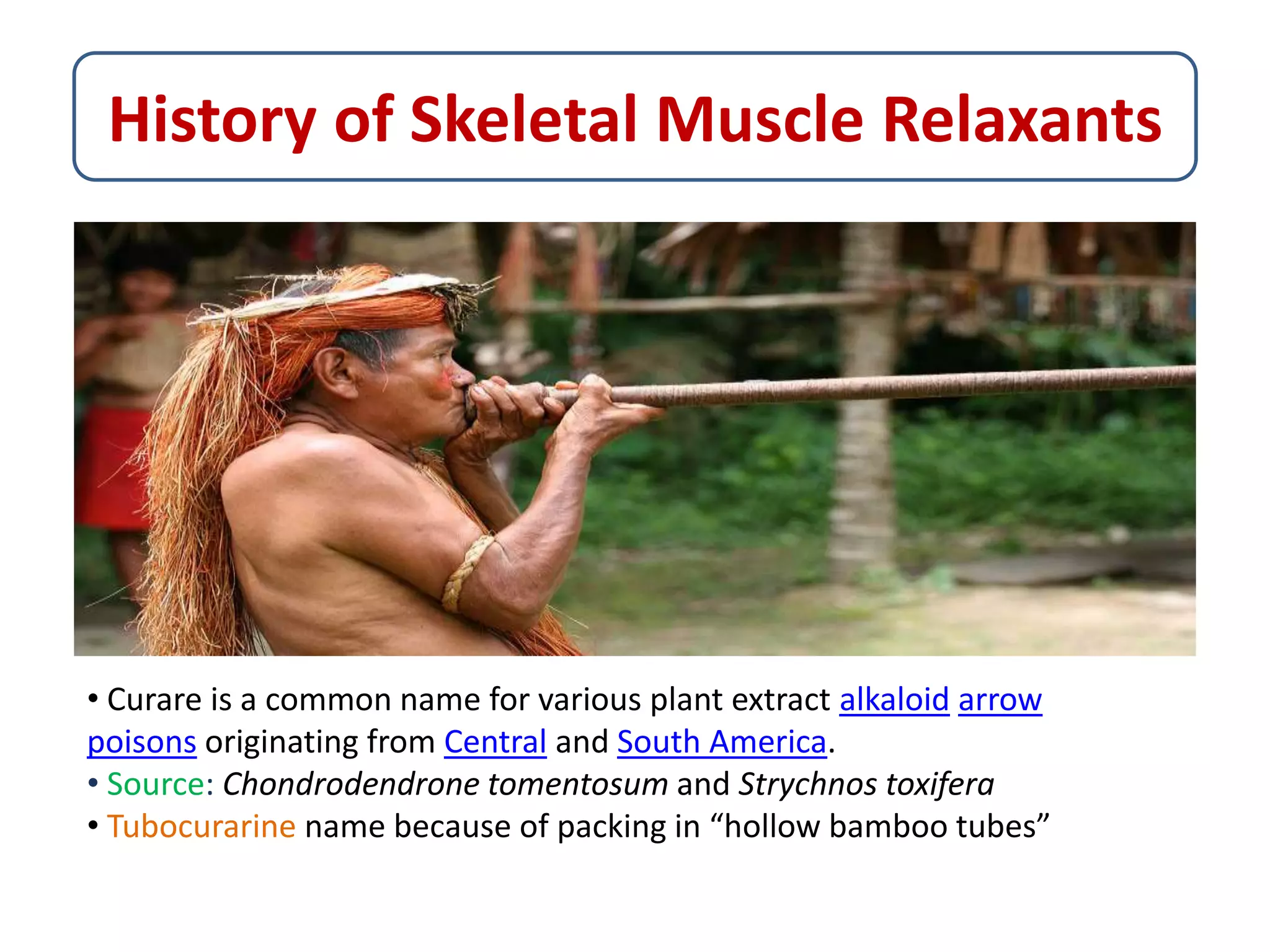 Skeletal Muscle Relaxants | PPTX