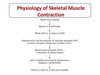 Skeletal Muscle Relaxants | PPTX