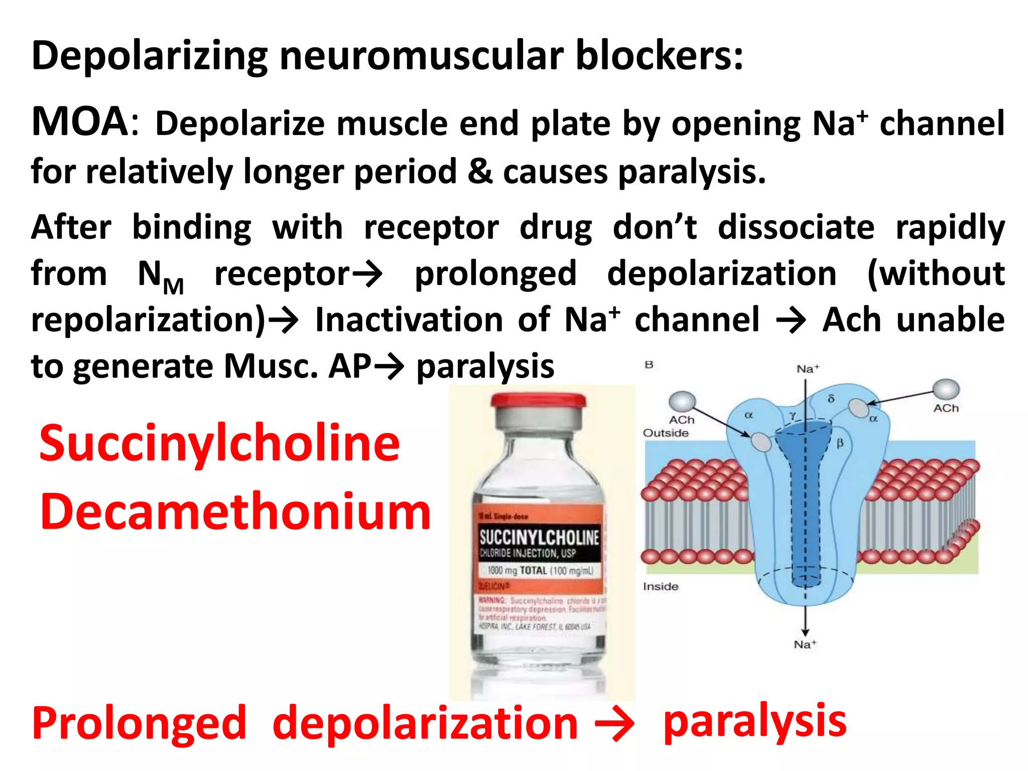 Skeletal muscle relaxants | PPTX
