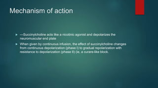 Skeletal Muscle Relaxants | PPTX | Brain and Nervous System Disorders ...