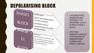 Skeletal muscle relaxants | PPT