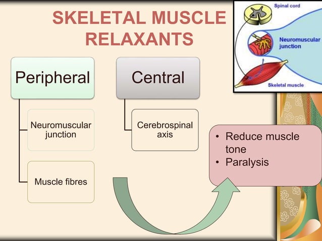 SKELETAL MUSCLE RELAXANTS.pptx