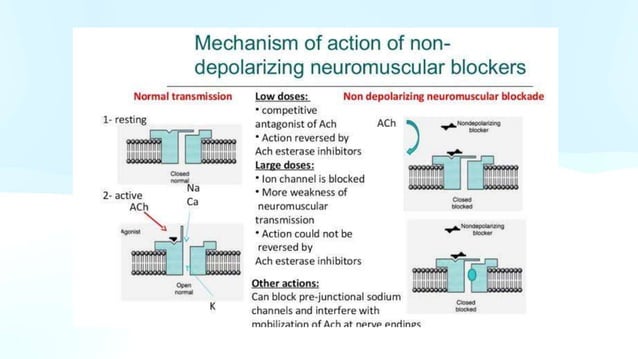 Skeletal muscle relaxants .presentations | PPTX