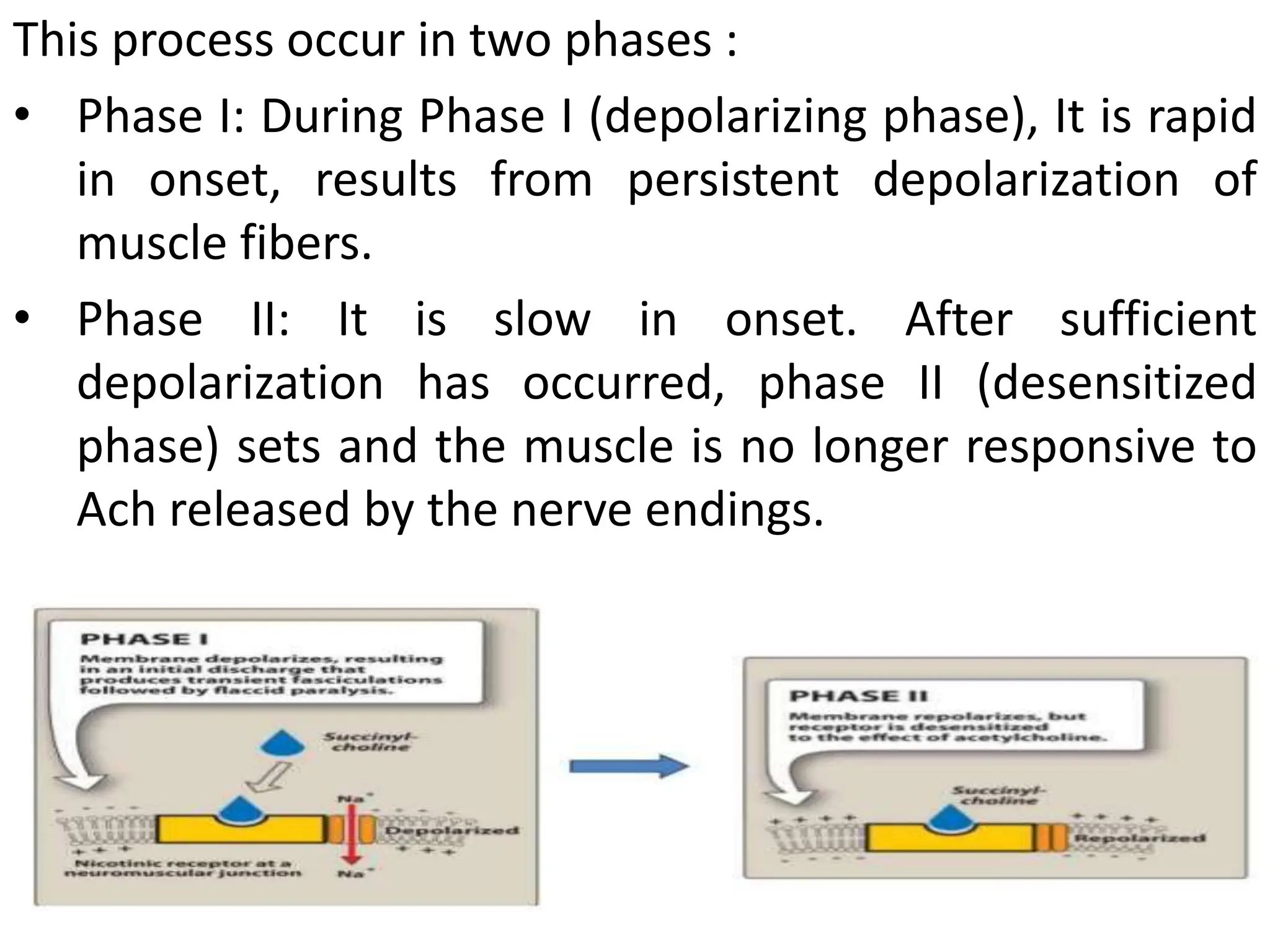 skeletal muscle relaxants pharmacology pptx | PPTX
