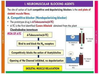 skeletal muscle relaxants pharmacology pptx | PPTX