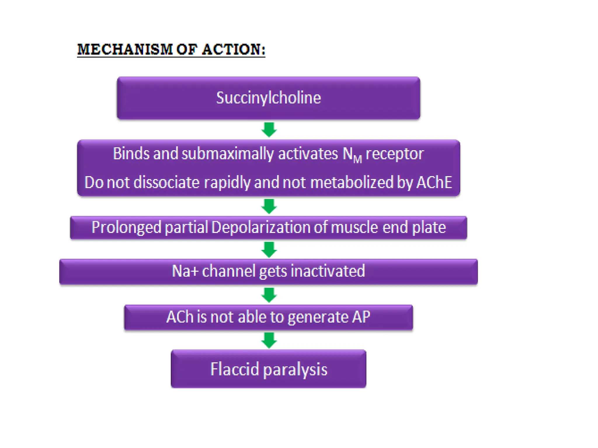 Skeletal muscle relaxants.department of pharmacology | PPT