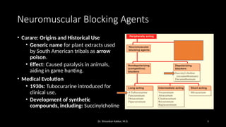 Skeletal Muscle Relaxants: A High-Yield Guide for NEET PG and MBBS ...